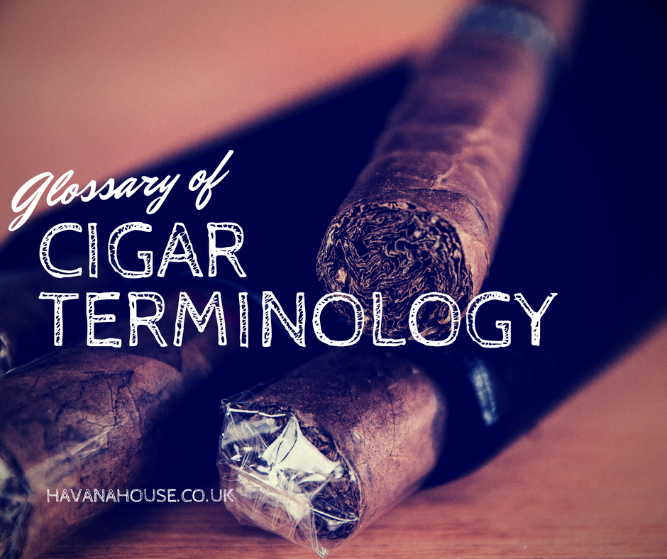 Glossary of Cigar Terminology | Cigar A - Z | Havana House