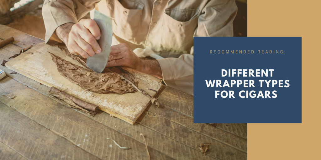 Cigar Wrapper Guide: Oscuro | Havana House