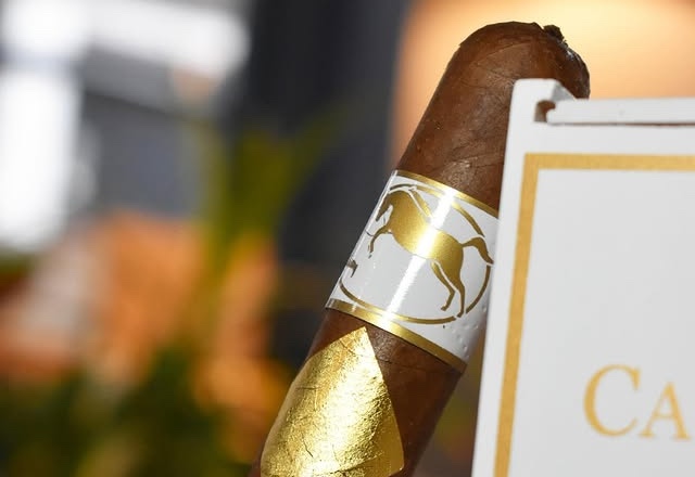 Cavalier Genève White Series Elegante | Cigar Review | Havana House