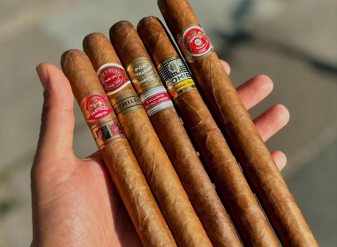 The Best Long Cigars | Long-Format Smokes | Havana House