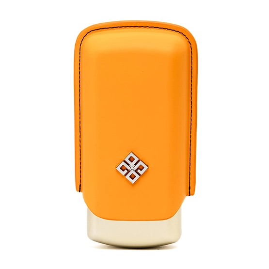 Alestimo Cigar Case for 2 Cigars - Orange and Gold » Havana House