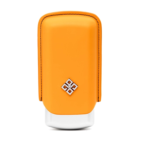 Alestimo Cigar Case for 2 Cigars - Orange and Silver » Havana House